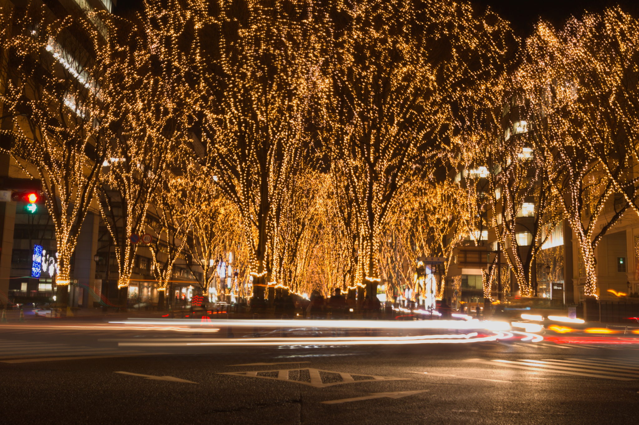 2019-sendai-pageant-of-starlight-photo-009