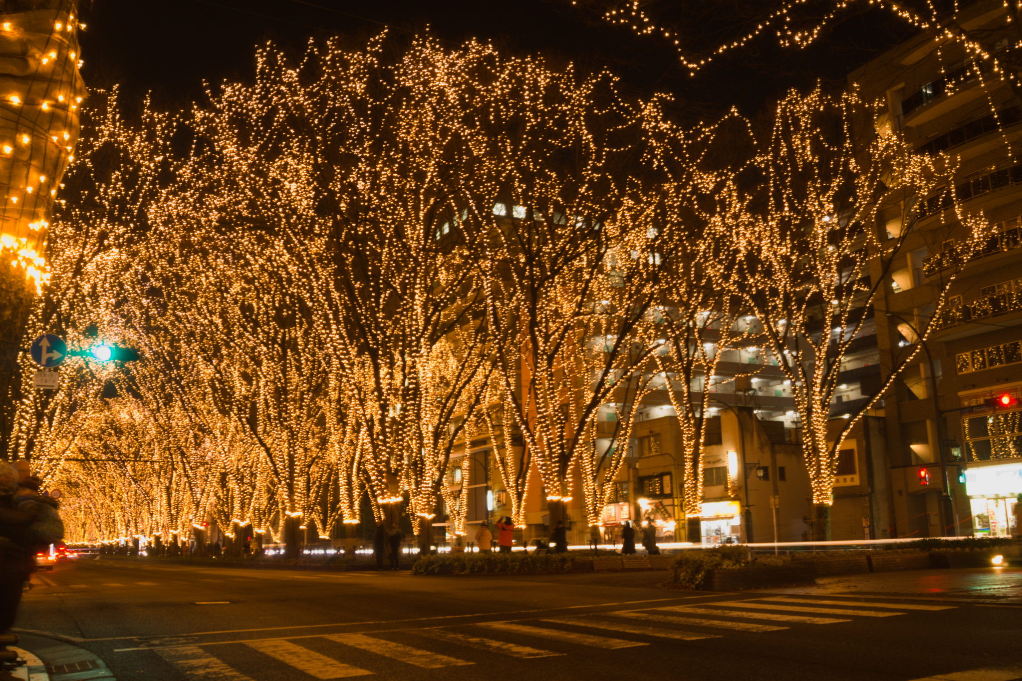 2019-sendai-pageant-of-starlight-photo-013